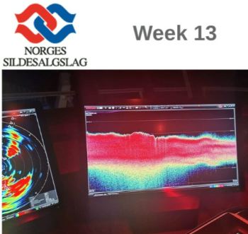 Seafood Media Group - Worldnews - The Norwegian Pelagic Fishing Course ...