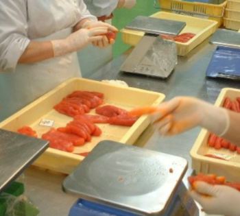 Seafood Media Group - Worldnews - Weekly production of Alaskan pollock ...