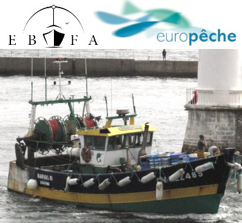 Seafood Media Group - Worldnews - European fishing sector calls for action