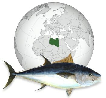 Seafood Media Group - Worldnews - Libya loses US$ 5 bn annually due to ...