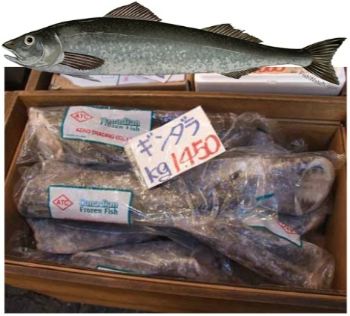 Seafood Media Group - Worldnews - Statistics │ Import │Sablefish ...