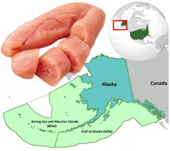 Seafood Media Group - Worldnews - Weekly production of Alaskan pollock ...