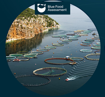 Seafood Media Group - Worldnews - Fisheries and aquaculture at global ...