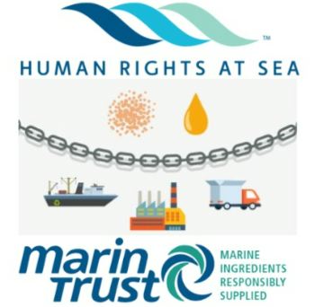 Seafood Media Group - Worldnews - MarinTrust responds to Human Rights ...