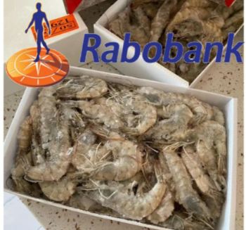 Seafood Media Group - Worldnews - Rabobank predicts a collapse in world ...