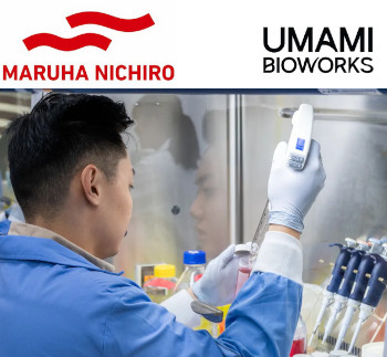 Seafood Media Group - Worldnews - Turning tides: Maruha Nichiro and ...