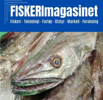Seafood Media Group - Worldnews - Seven out of ten kilos of fresh fish ...