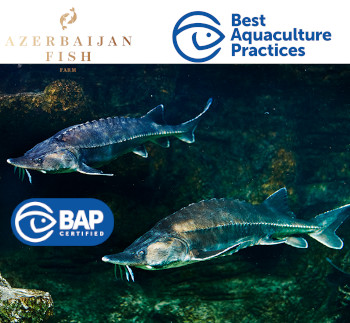 Seafood Media Group - Worldnews - Azerbaijan Fish Farm is world's very ...