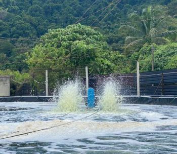 Seafood Media Group - Worldnews - Malaysia’s first smart aquaculture ...