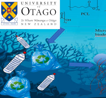 Seafood Media Group - Worldnews - Biodegradable plastics still damaging ...