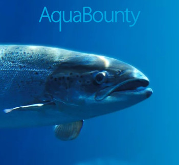 Seafood Media Group - Worldnews - AquaBounty Technologies Announces ...