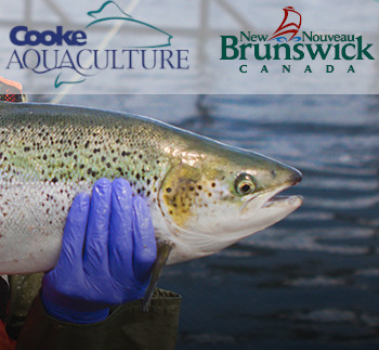 Seafood Media Group - Worldnews - New funding to benefit aquaculture industry - Cooke Aquaculture