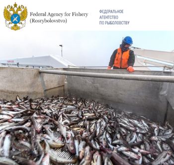 Seafood Media Group - Worldnews - Russian Fisheries Exceed 4 Million ...