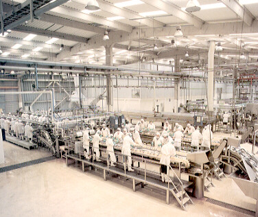 UNIFISH CANNING